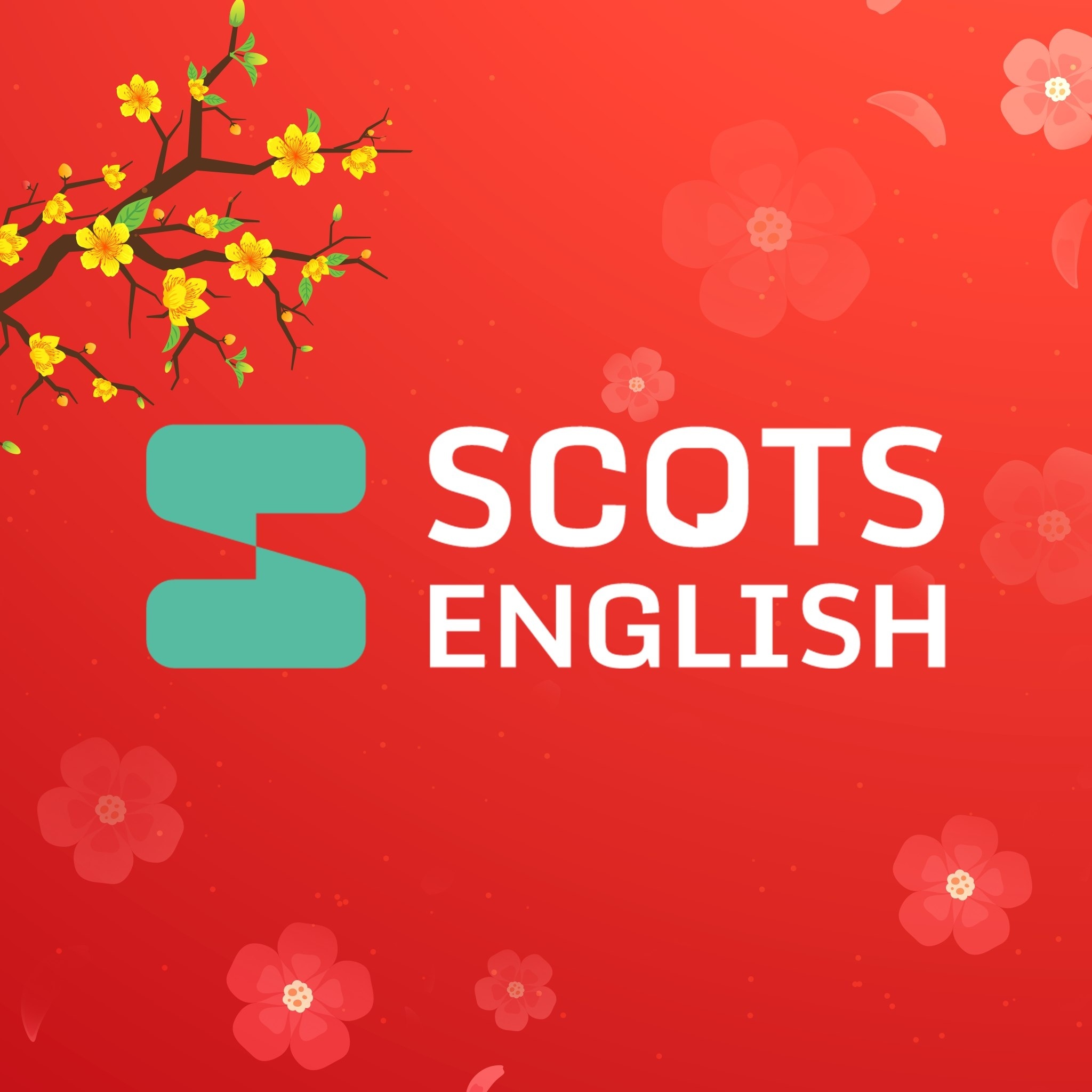 [REVIEW] Hệ thống Anh ngữ Quốc tế Scots English Long Biên - KiddiHub